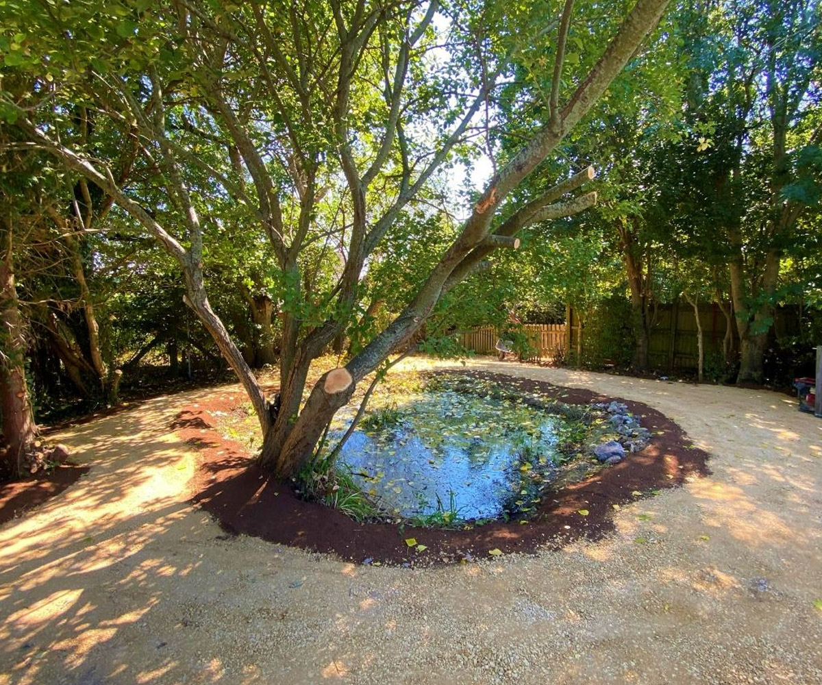 Environmental - Envolve Infrastructure